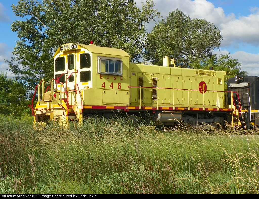 EJE 446 in the tall grass